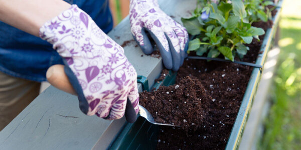 A How-To Guide: Prepping Your Pots for Spring Planting | Plant Perfect