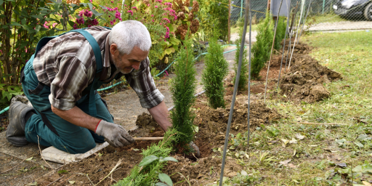 Your Guide to Planting Trees in the Fall | Plant Perfect | Bismarck, ND